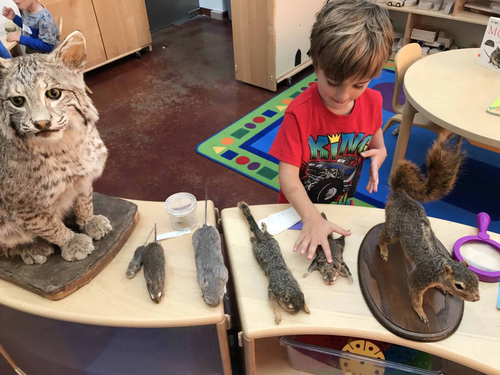 Discovery Lab on Wheels: Schools - Fort Worth Museum of Science and History