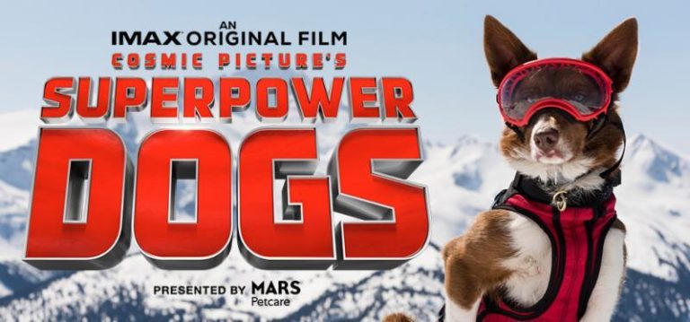 Experience the Life-Saving Superpowers of Extraordinary Dogs – Fort ...