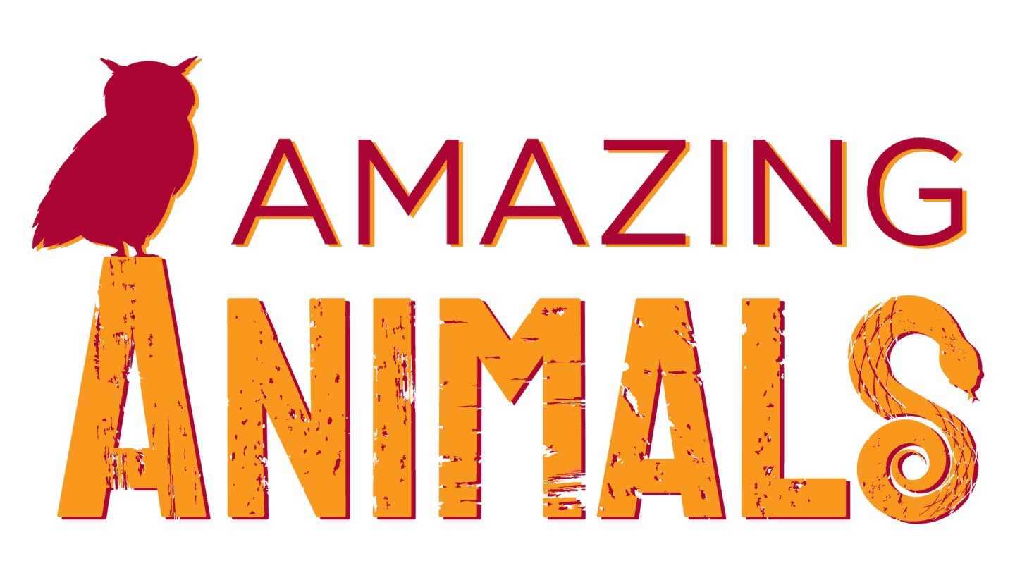 Learning Never Stops - Fort Worth Museum of Science and History