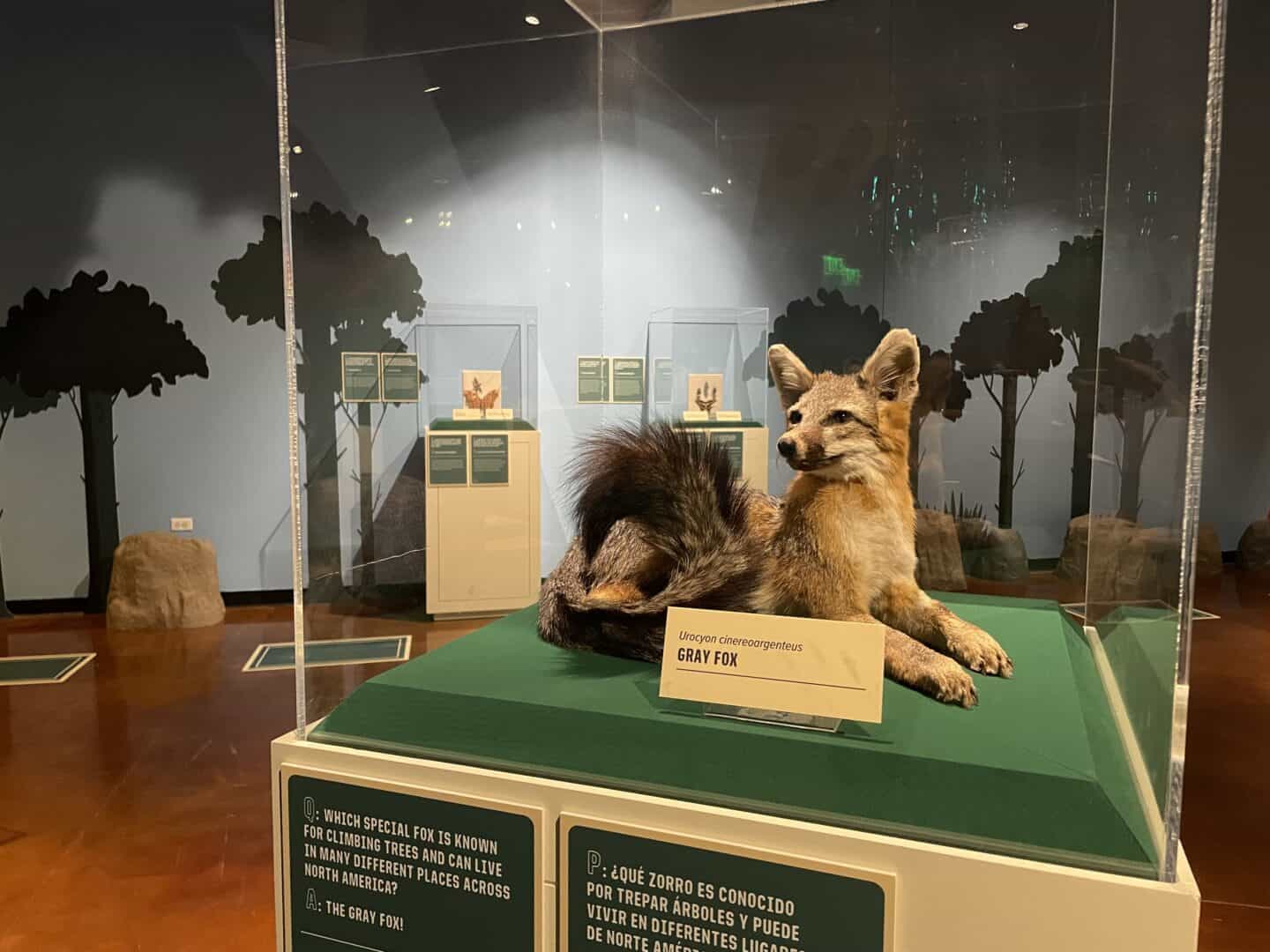 Learning Never Stops - Fort Worth Museum of Science and History